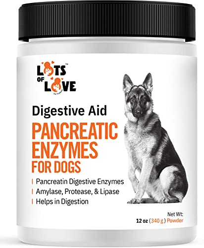 10 Best Pancreatic Enzymes for Dogs [2025]