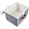Amazon.com - Lucky Monet Storage Bins Boxes with Lids 2 Pack Decorative ...