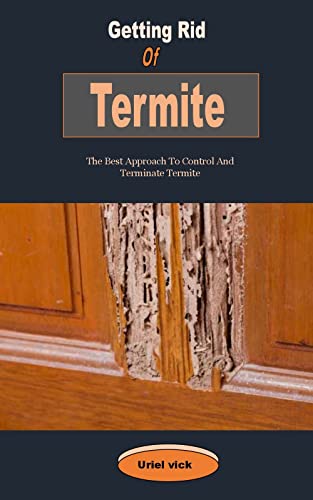 Getting Rid Of Termite: Getting Rid Of Termite: The Best Approach To ...