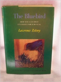 The bluebird: How you can help its fight for survival (The Audubon ...