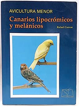 Avicultura Menor. Canarios Lipocrómicos y Melánicos: 9788485725328 ...