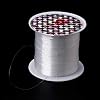 Amazon.com: EXCBIOZ Crystal Wire Clear String Line Invisible Thread ...