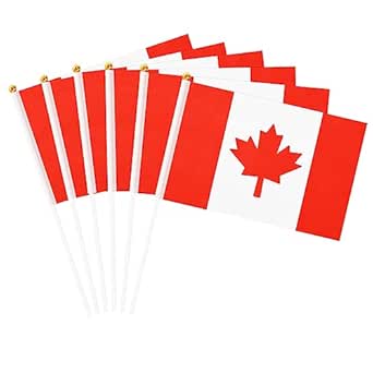 50 Pack Small Canada Flag Stick 5'' x 8'' - Handheld Canadian Maple ...