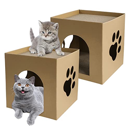 Cat Scratch Story – The 15 best products compared - Wild Explained