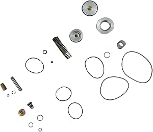 Amazon.com: Celliparts Valve Assembly Repair Kit 2200900945 2901-1622 ...