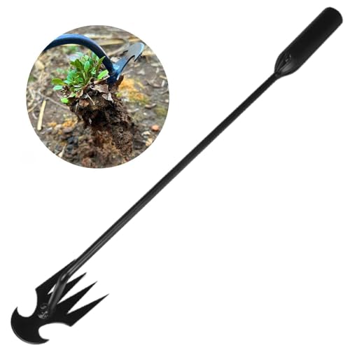 Grass Removal Tool – The 15 best products compared