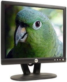 Amazon.com: DELL E173FPC E173FPs E173FPb E173FPt E173FPf 17" LCD ...
