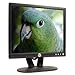 Amazon.com: DELL E173FPC E173FPs E173FPb E173FPt E173FPf 17" LCD ...