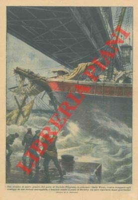 Amazon.com: Nel porto di Norfolk, lo schooner "Sally Wren" viene ...