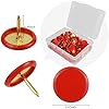 Amazon.com: 100 Pcs Thumb Tacks, Drawing Pins, Metal Flat Push Pins ...