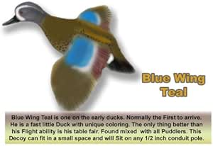 Amazon.com : FLBW Blue Teal 3D Flappers Duck Decoy - 4 Set : Hunting ...