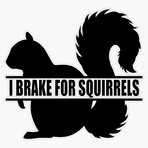 Amazon.com - I Brake for Squirrels Car Window Bumper Sticker Vinyl Decal 5"