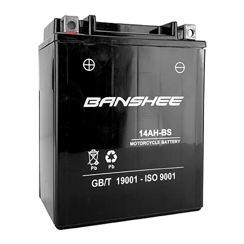 Amazon.com: Banshee Replaces ETX15 ATV Battery for Polaris Magnum ...