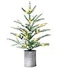 Amazon.com: Small Christmas Tree 24 inch Mini Christmas Tree Pre-lit ...
