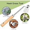 Amazon.com : Dizzily 2Pcs Dritnow Weed Puller Tool and Crack Weeder ...