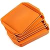 Amazon.com | Aebeky Plastic Fast Food Tray,16.7 by 11.8-Inch,Set of 12 ...