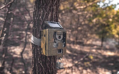 Snapklik.com : SPYPOINT Cellular Trail Cameras Security Box - SB-200 ...