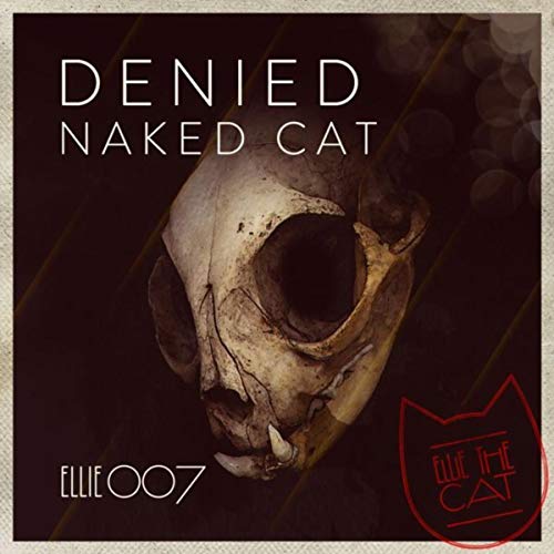 Amazon.com: Naked Cat : Denied: Digital Music