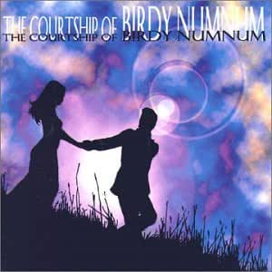 Birdy Numnum - Courtship of Birdy Numnum - Amazon.com Music