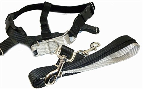 2 Hounds Design Harness – The 15 best products compared - Wild Explained