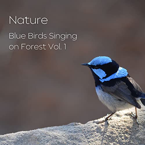 Nature: Blue Birds Singing on Forest Vol. 1 von Forest Sounds, Sounds ...