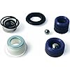 Graco 244194 Pump Repair Packing and Valves Kit for Airless Paint Spray ...
