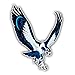 Amazon.com - Seahawk Bird Logo Car Bumper Sticker Decal