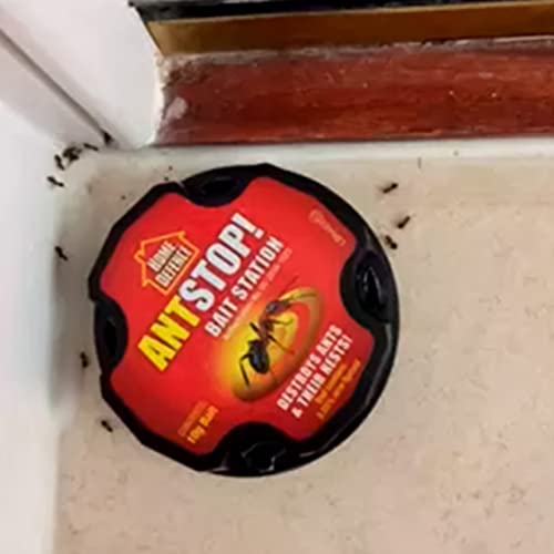 CRAZZYVALUE, Ant Stop Bait Station, Home Defence Ant Killer, Ant Traps ...