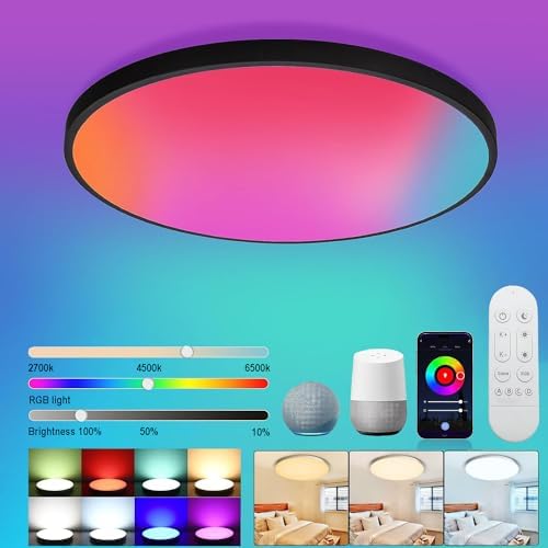 Redare Alexa Smart Ceiling Light,RGB Wifi Ceiling Light,30cm 24W ...