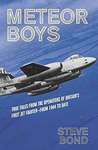 Amazon.com: The Lightning Boys: True Tales from Pilots of the English ...