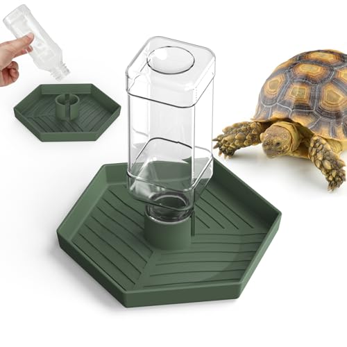 Best Outdoor Tortoise Water Dish Options for Safe, Easy Hydration ...