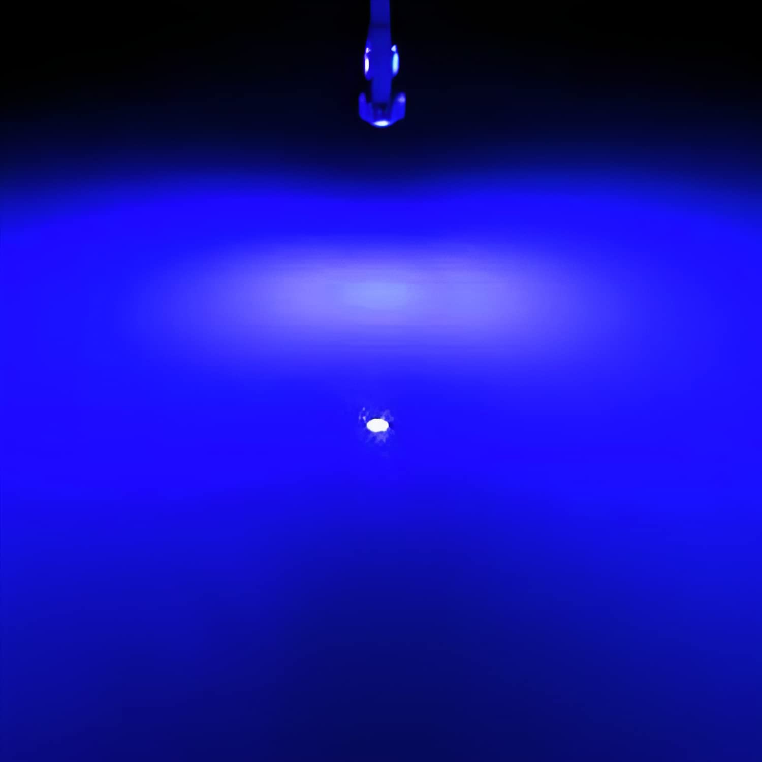 Snapklik.com : AUXLIGHT Ultra Blue T5 37 74 2721 PC74 PC37 LED Bulb ...