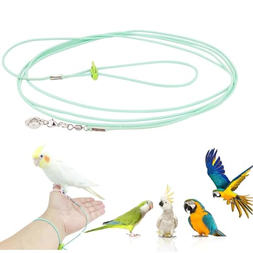 Amazon.in Bestsellers: The most popular items in Birds