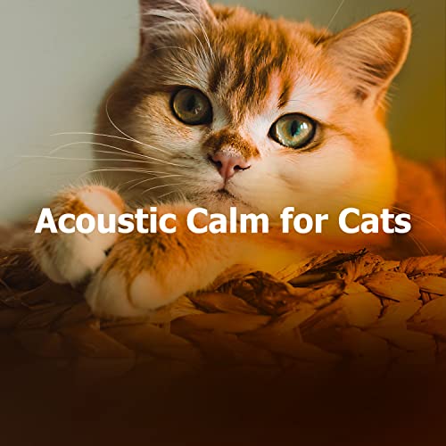 Amazon.com: Acoustic Calm for Cats : Calm Relaxing Music for Cats ...