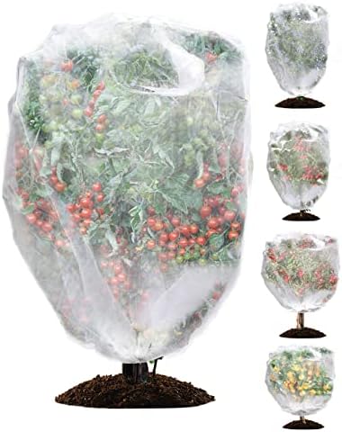 Amazon.com : wohohoho 5 Packs Garden Plants Fruits Blueberry Protection ...