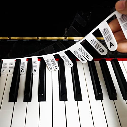 Amazon.com: Removable Piano Keyboard Note Labels, Piano Key Music Notes ...