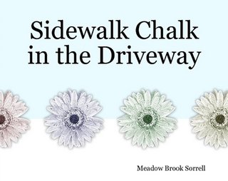 Sidewalk Chalk in the Driveway: Meadow Brook Sorrell: Amazon.com: Books
