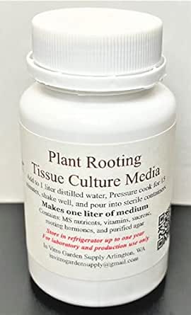 Amazon.com : Plant Rooting Tissue Culture Media - Pre Mixed with Sugar ...