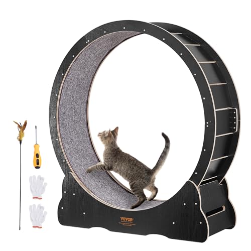 10 Best Cat Exercise Wheels for 2024: Top Picks for Your Feline Friend