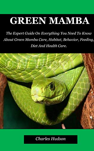 Green Mamba Snake Habitat