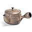 Amazon.com | TEANAGOO Japan Kyusu (8.5 oz) with Steeper/Ceramic Teapot ...
