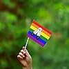 Amazon.com : Two-Spirit Pride Flag Small Mini Flags Hand Held Flag ...