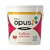 Birla Opus Calista Ever Wash Interior Emulsion Paint Â– Antifungal ...