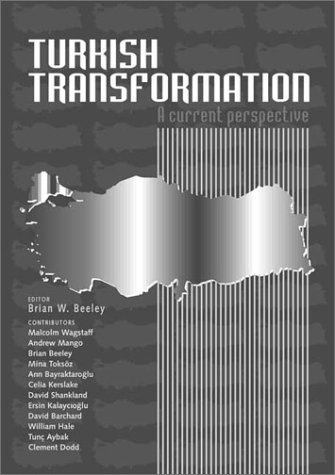 Turkish Transformation: New Century, New Challenges: Amazon.co.uk ...