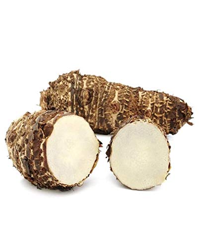 Fresh Maan Kochu, 250 g : Amazon.in: Grocery & Gourmet Foods