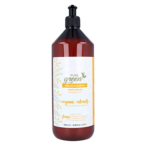 Amazon.com : Pure Green Shampoo - 1000 ml : Beauty & Personal Care