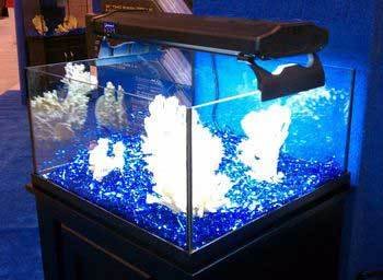 Deep Blue Professional ADB13530 30-Gallon Rimless Mini Frag for ...