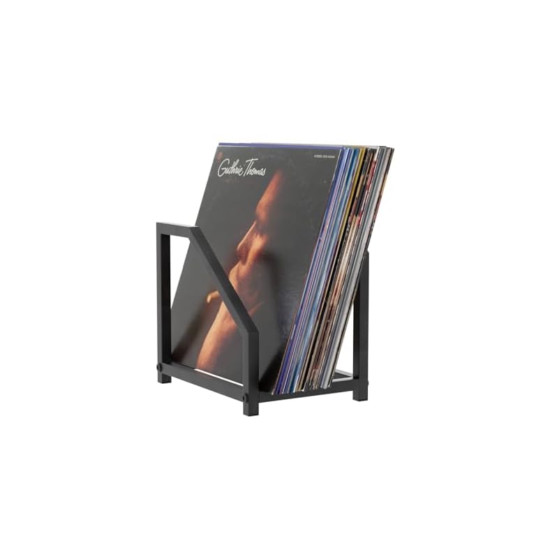 Metal Record Stand for Tabletop Holds 40 LPs, Vinyl Record Holder with ...