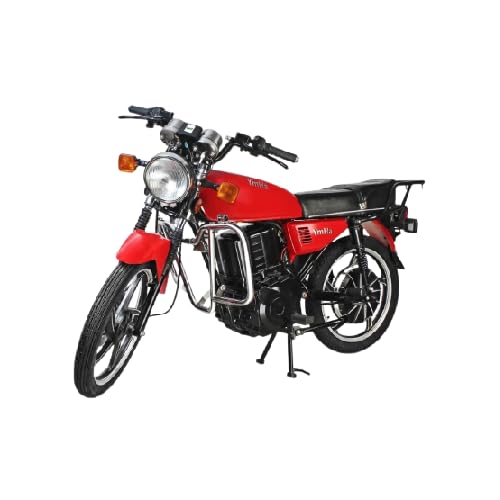 Motionman YmHa Electric Bike/Motorcycle with Dual Disc Brake, Lithium ...