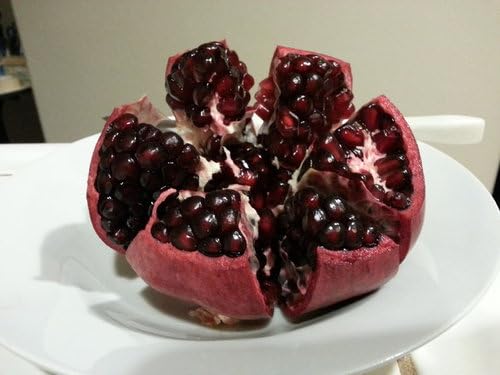 GARDENOPOLIS - Pomegranate/Anaar Plant - Fresh Green & Healthy Plant ...